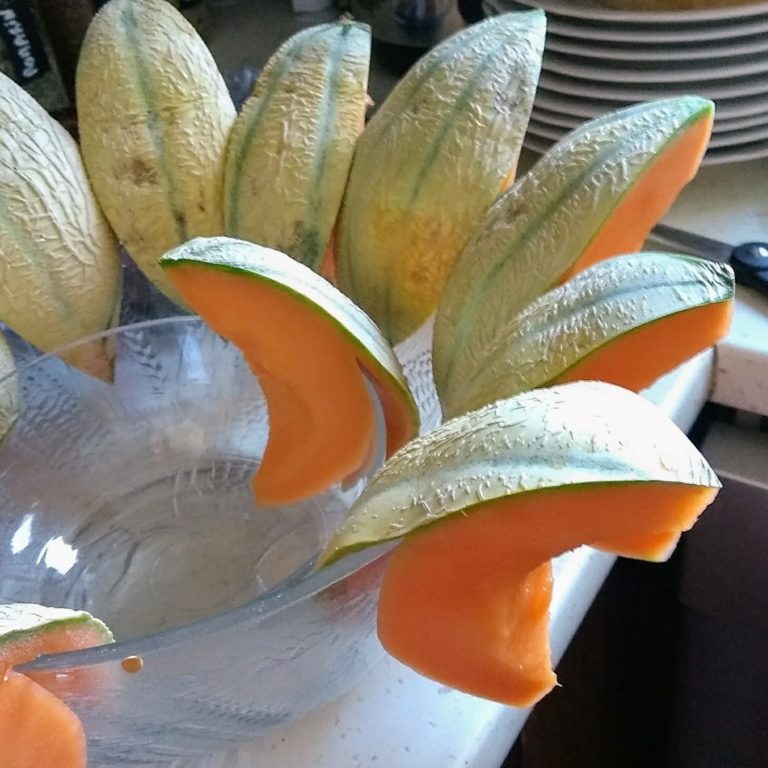 Fontaine de melon, superbe sur un buffet. Comment faire ? | MiaouZdays